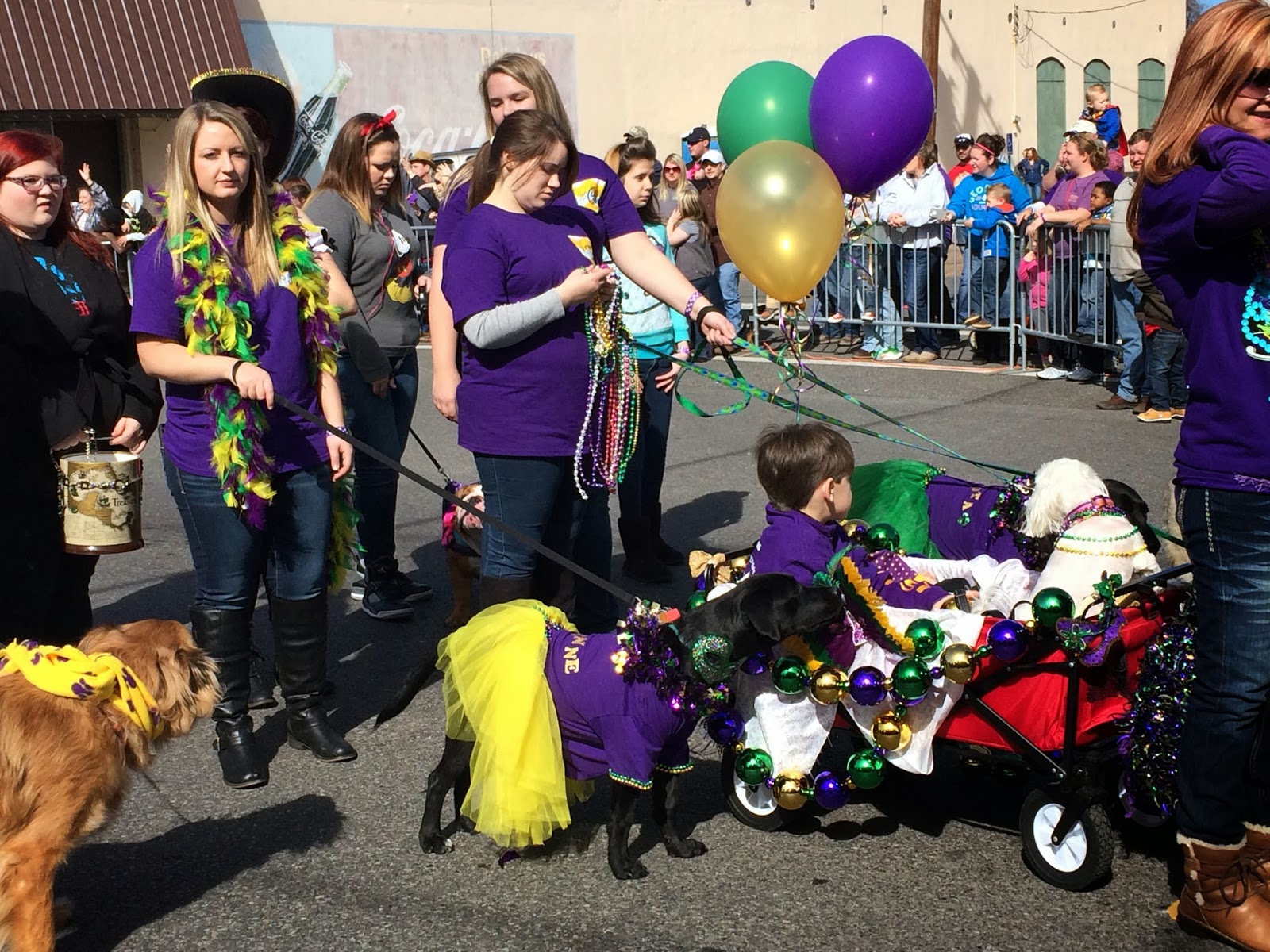 Mojoy: The Mardi Gras Pet Parade.